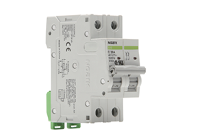 Noark B1H:Miniature Circuit Breakers-B1H2D6 – Trimantec