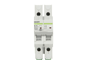 Noark B1H:Miniature Circuit Breakers-B1H2D10 – Trimantec