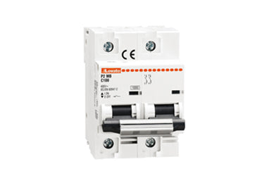 Lovato Electric: Miniature Circuit Breaker - P2MB2PC100 | Trimantec