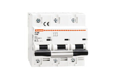 Lovato Electric: Miniature Circuit Breaker - P2MB3PC100 | Trimantec